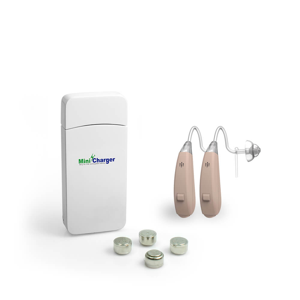 EarCentric Hearing Rechargeable Kit for Hearing Aids - 4 Size-13 ...